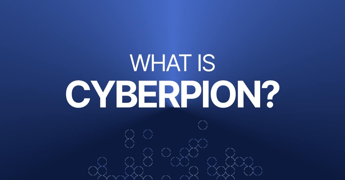 Who is Cyberpion (Now Ionix)? Company History, Team, & More